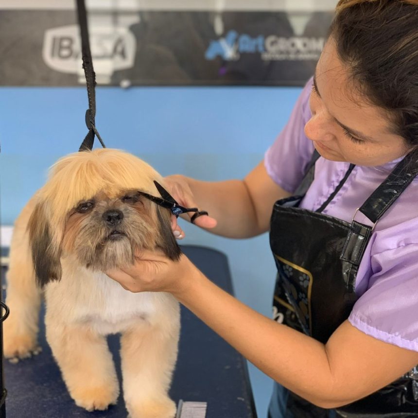 Curso de Banho e Tosa Profissionalizante Completo – Art Groomer