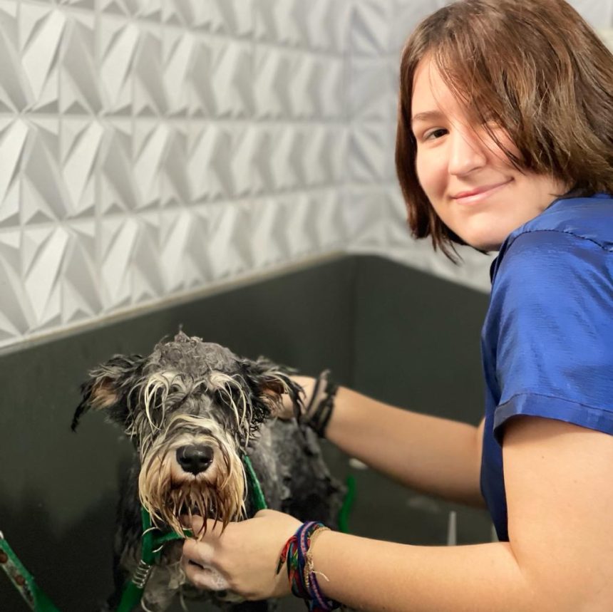Cursos – Art Groomer